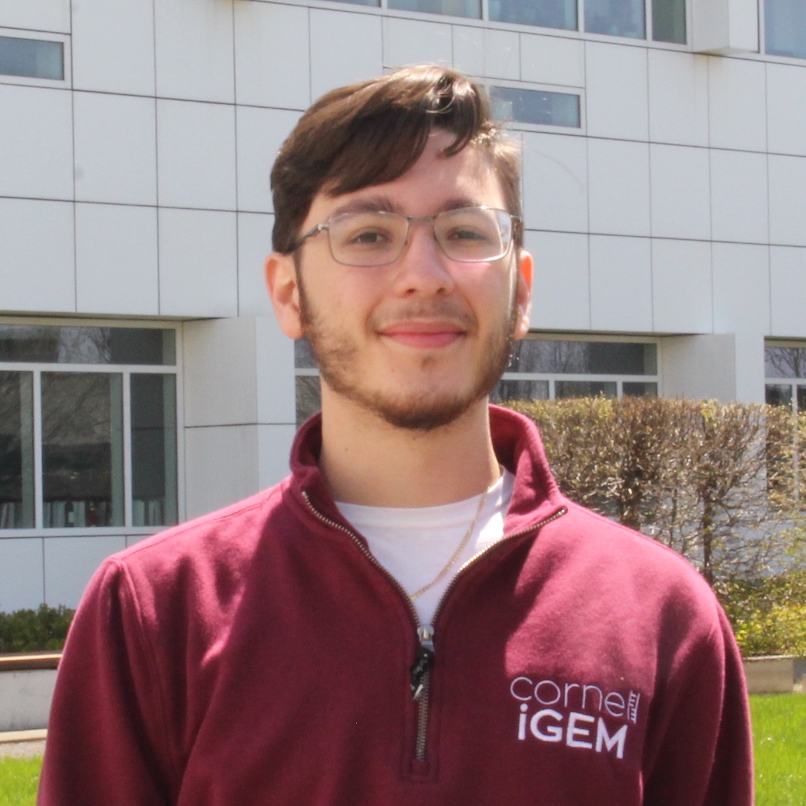 Cornell iGEM